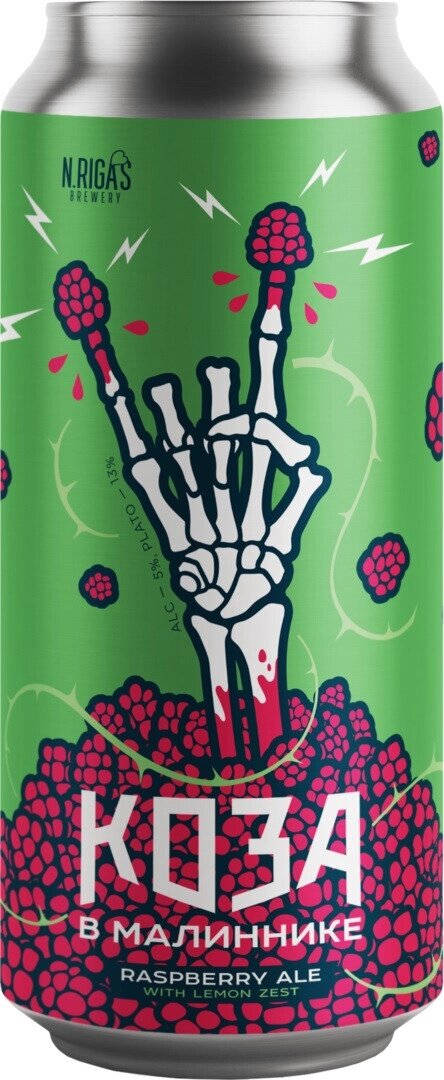 Пиво New Riga's Brewery, Raspberry Ale, in can, 0.45 л