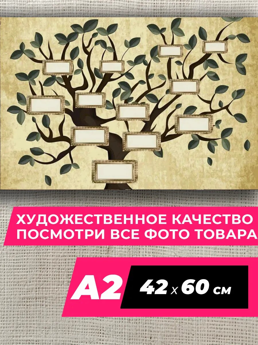 Постер Родовое дерево на стену A2, матовая фотобумага премиум качества