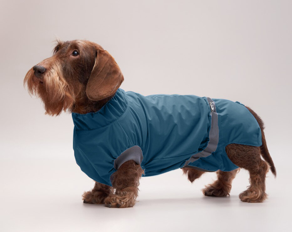 Комбинезон мембранный для таксы с подкладом из флиса на мальчика , размер S