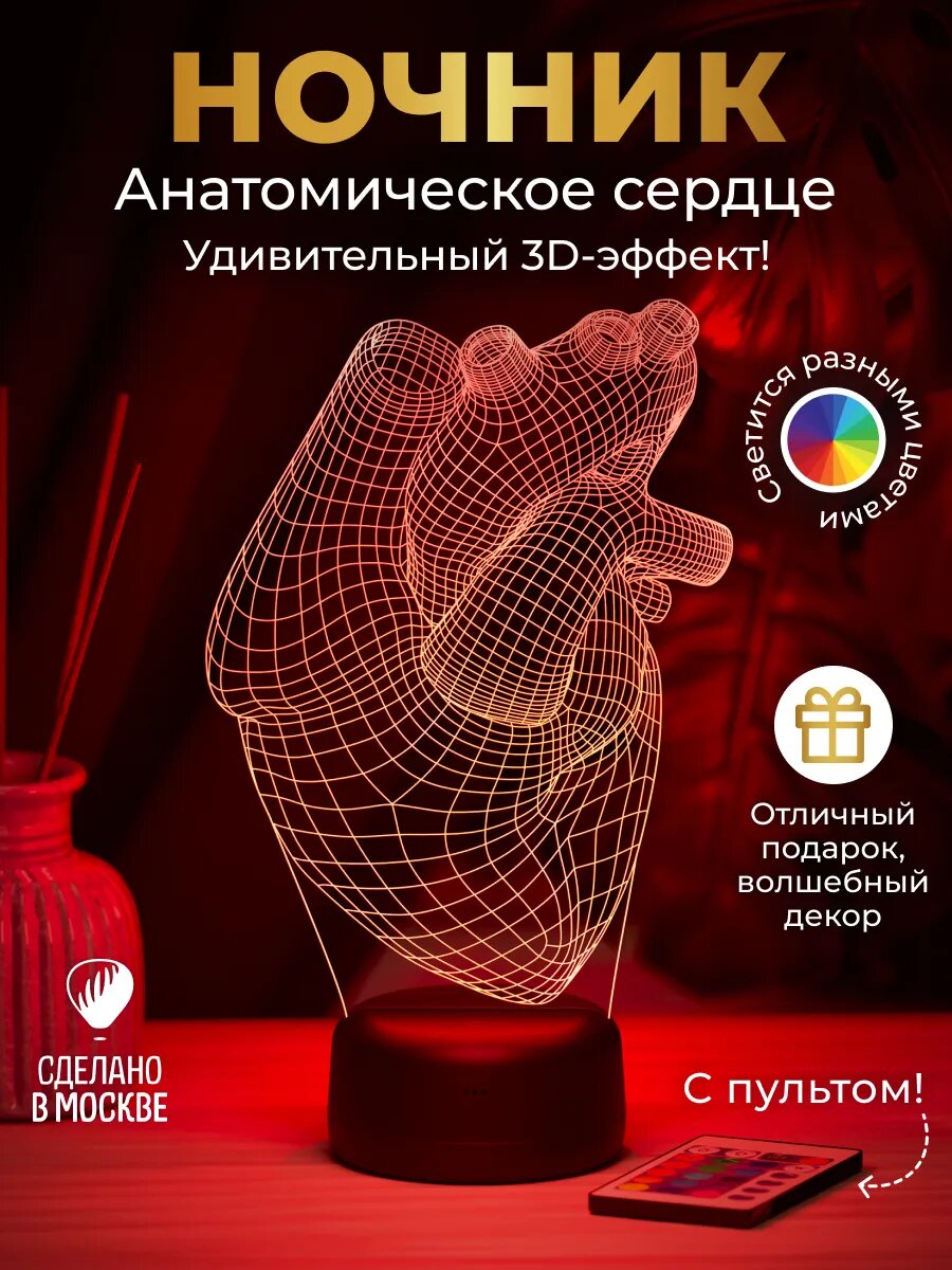 Ночник подарок для врача Анатомическое сердце