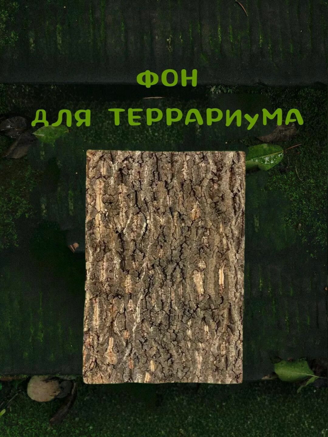Фон для террариума