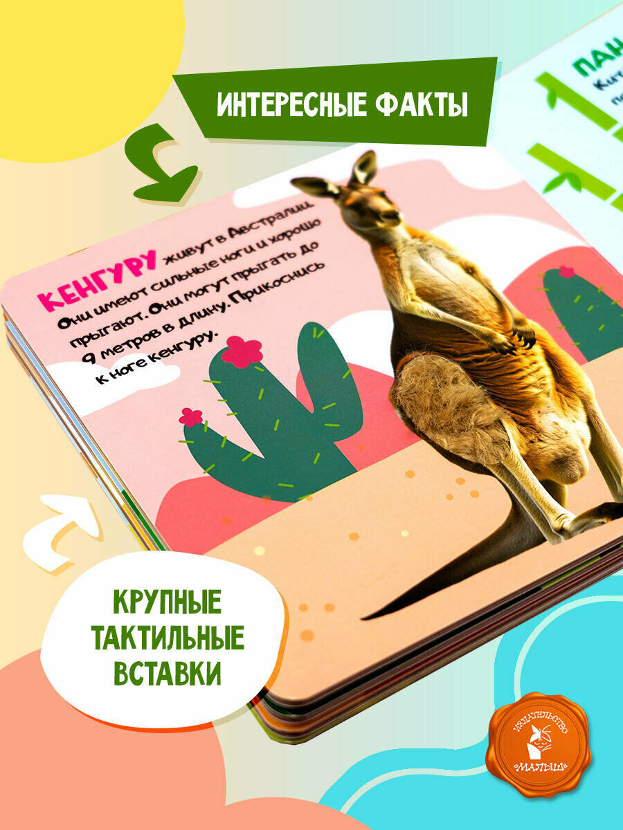 Книга АСТ "Дикие животные", тактильная, твердый переплет, 2025 г, 17 см х 17 см — фото 1