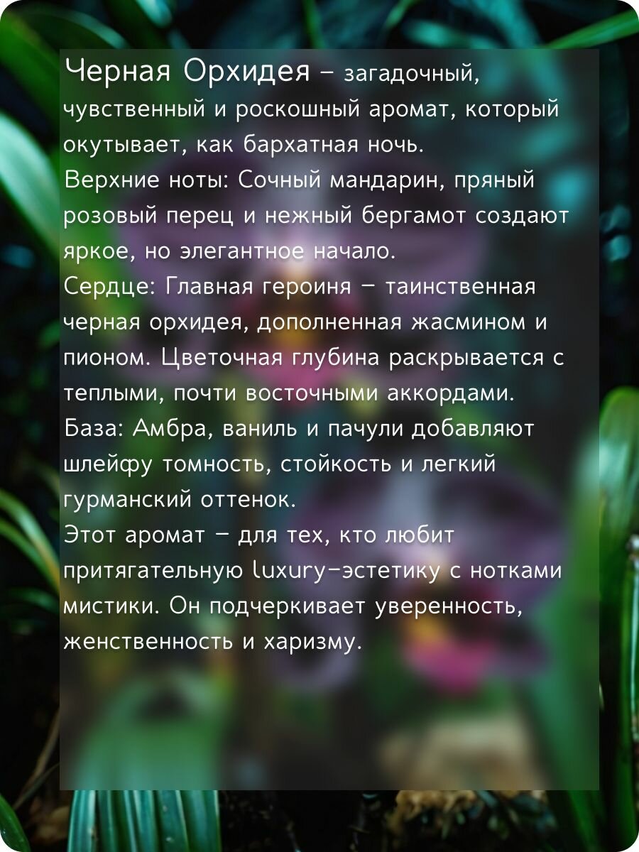 Набор Аромасаше №2 Сирень, Орхидея, Лаванда — фото 1