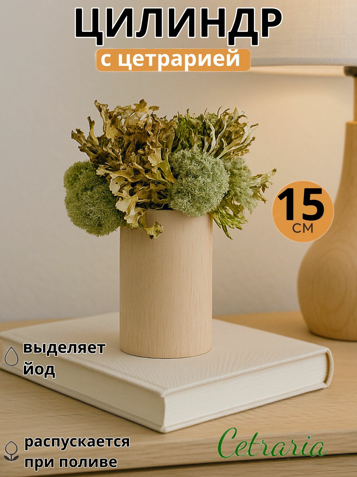 Композиция Цилиндр с Цетрарией для Интерьера