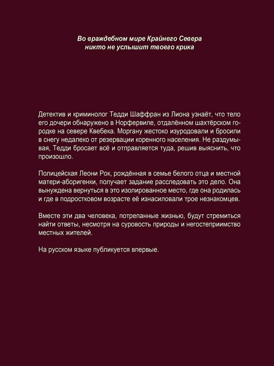 Книга "Норфервиль" (Norferville) — фото 1