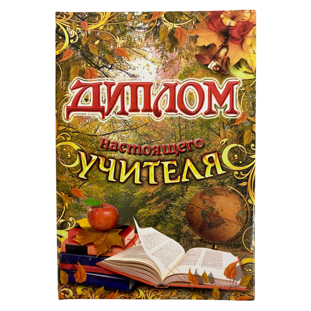 Диплом Настоящего учителя + Медаль Лучший Учитель