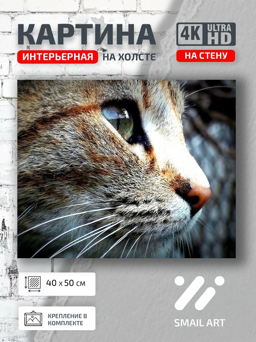 Картина на холсте интерьерная 40 на 50 на стену Кота Landscape для спальни пейзаж интерьер
