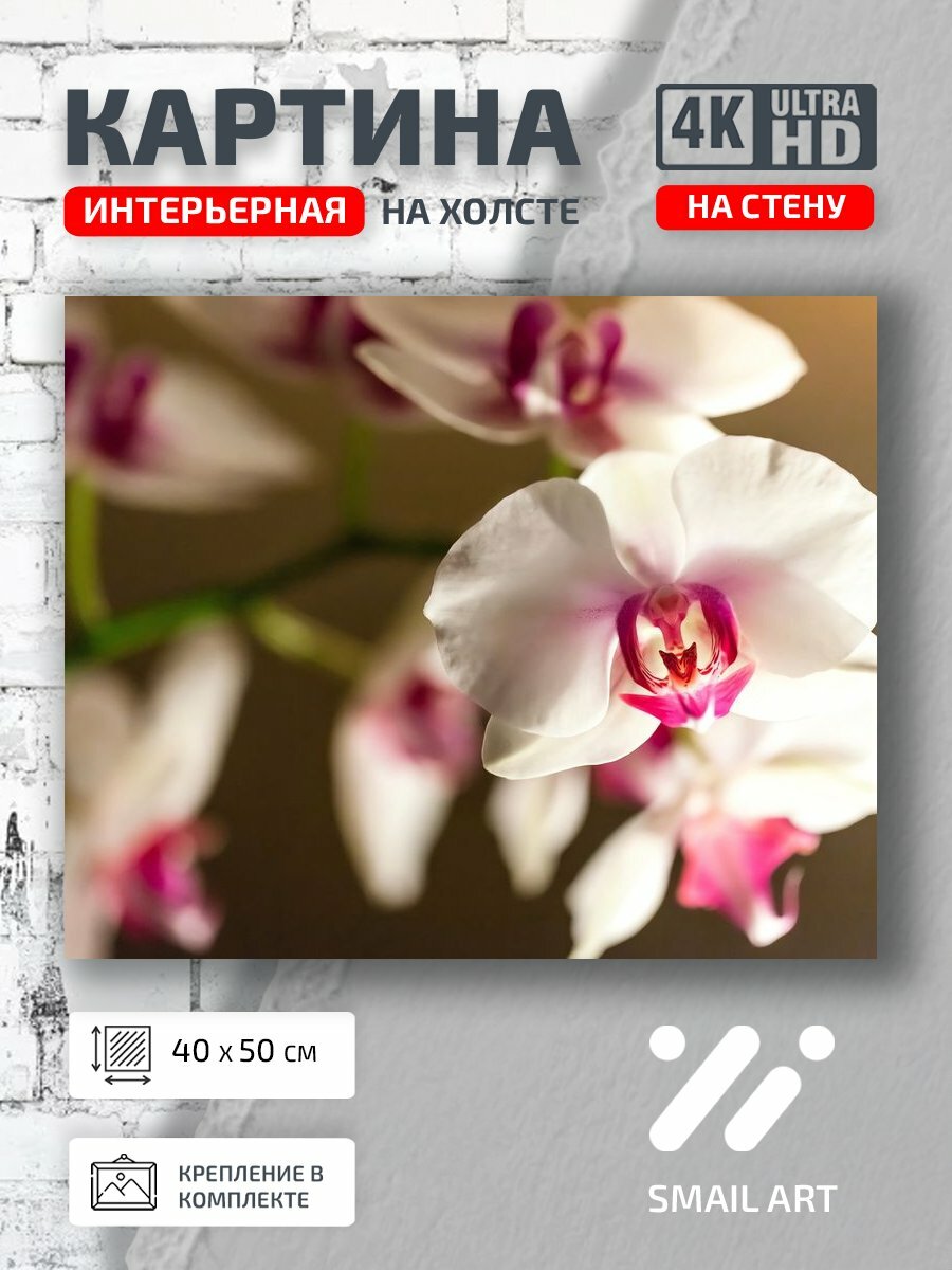 Картина на холсте интерьерная 40 на 50 на стену Орхидея orchid для кафе пейзаж интерьер
