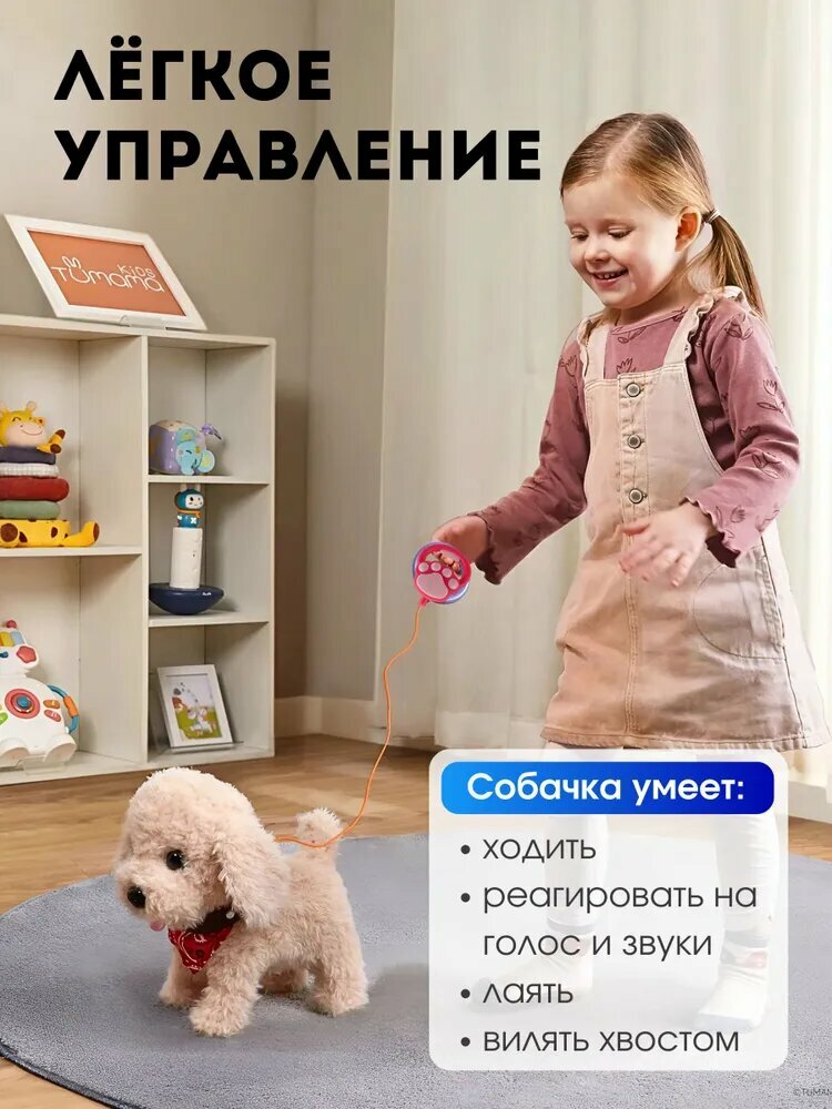 Интерактивная собачка DAZLE на поводке говорящая с пультом музыкальный пудель для девочки