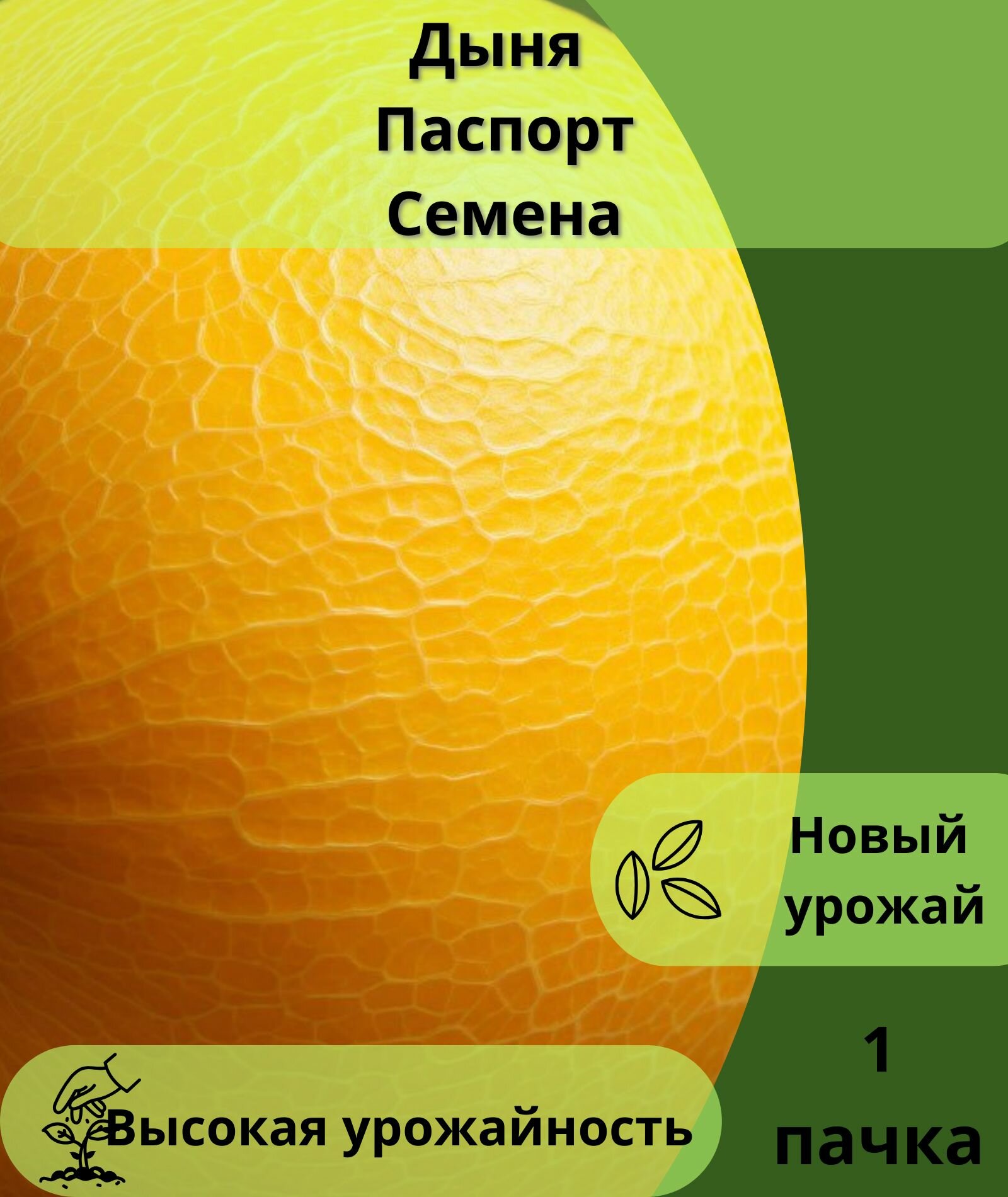 Дыня Паспорт F1, семена 10шт