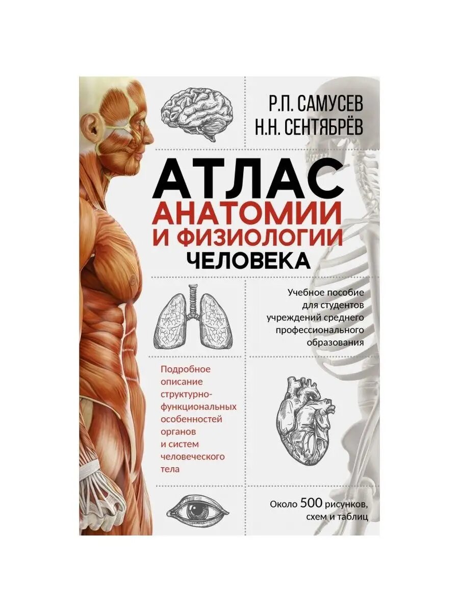 Атлас анатомии и физиологии человека. Учебное пособие для с