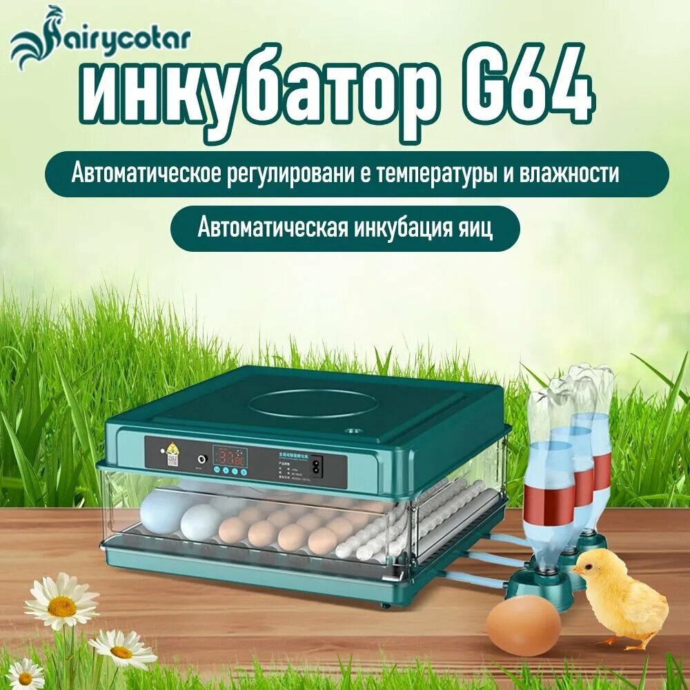 G64 Hairycotar инкубатор для яиц автоматический220B/12B Учебное пособие по русскому языку