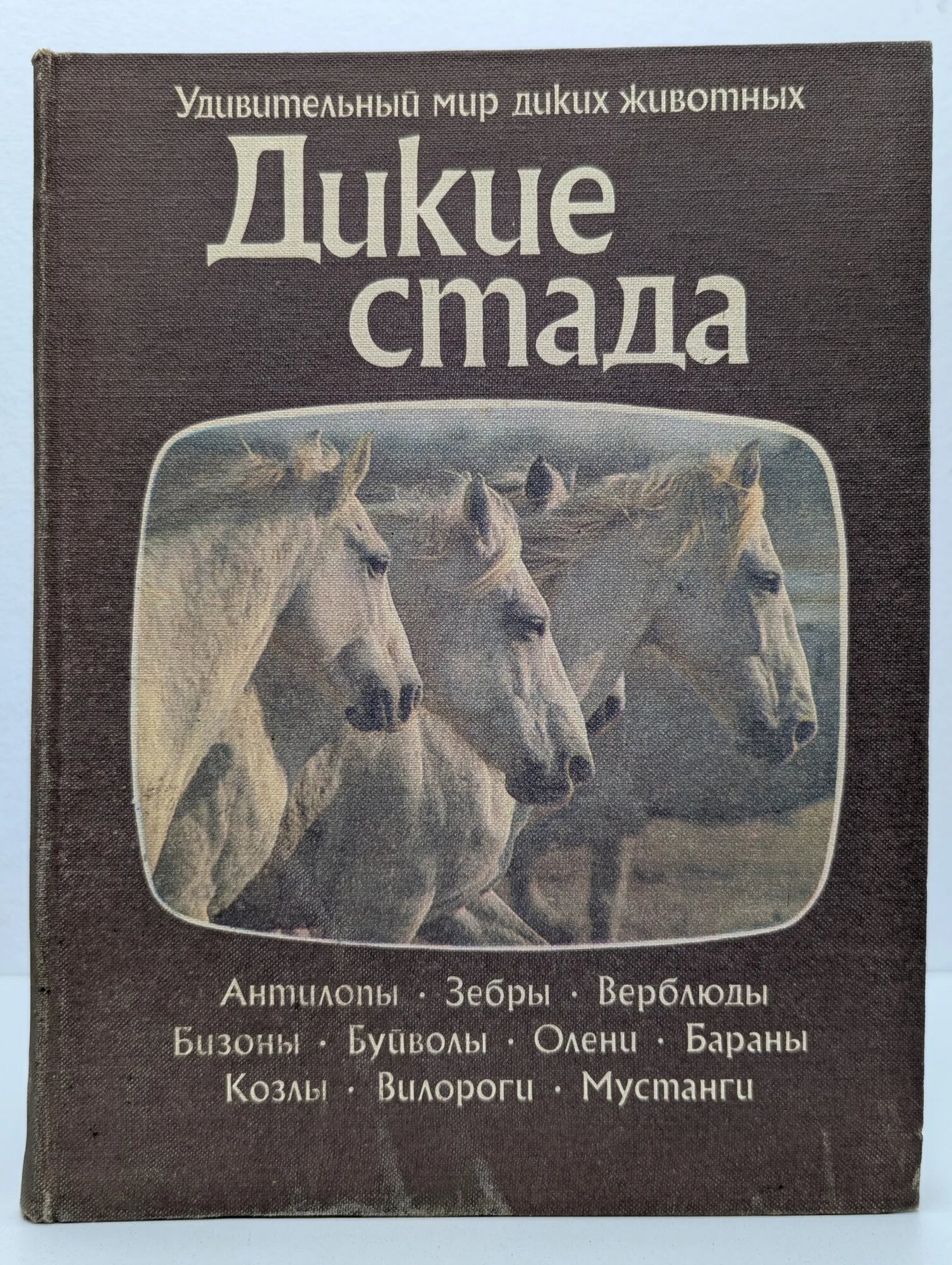 Дикие стада Нири Джон 1984