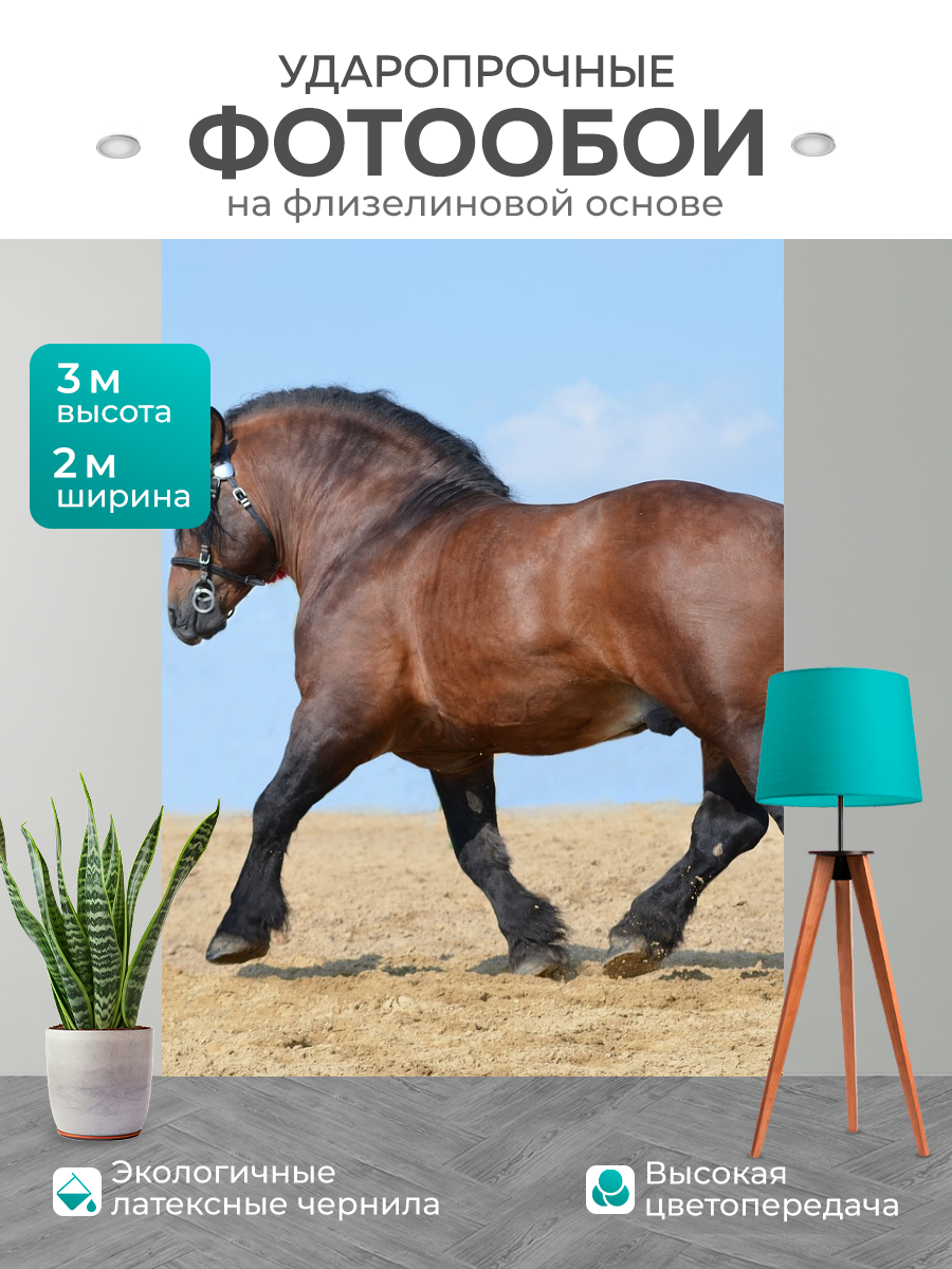 Фотообои моющиеся ударопрочные "Лошадь, тяжеловозам, жеребец" 200x300 см. флизелиновые на стену