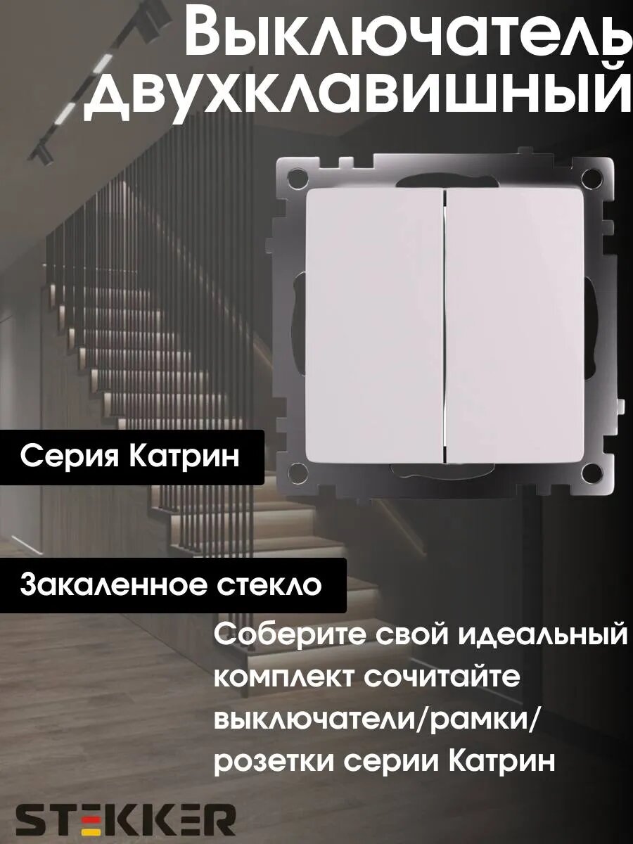 Выключатель двухклавишный (механизм) 250V 10А