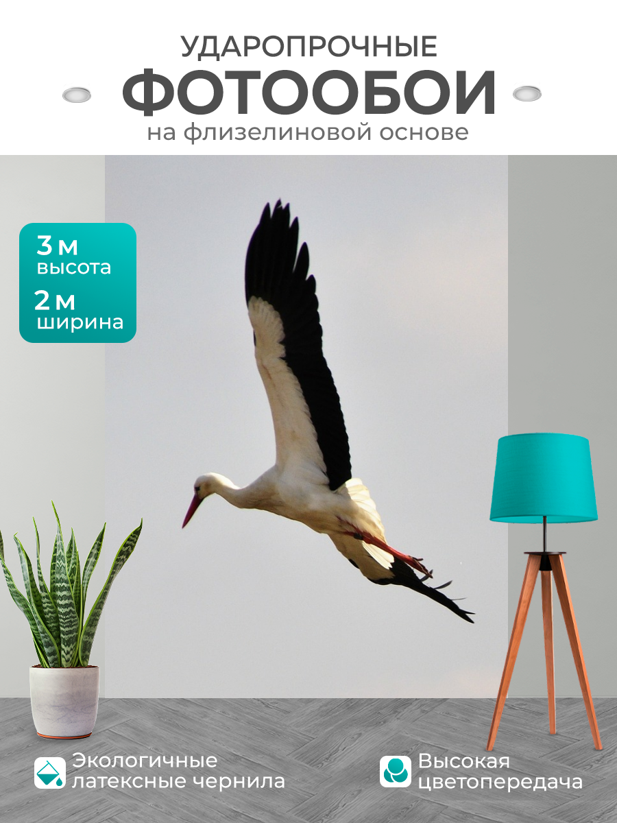 Фотообои моющиеся ударопрочные "Аист, птица, аисты" 200x300 см. флизелиновые на стену