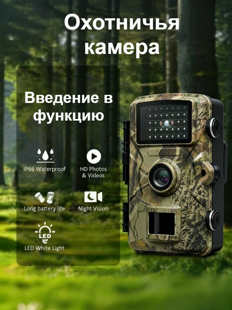 Фотоловушка