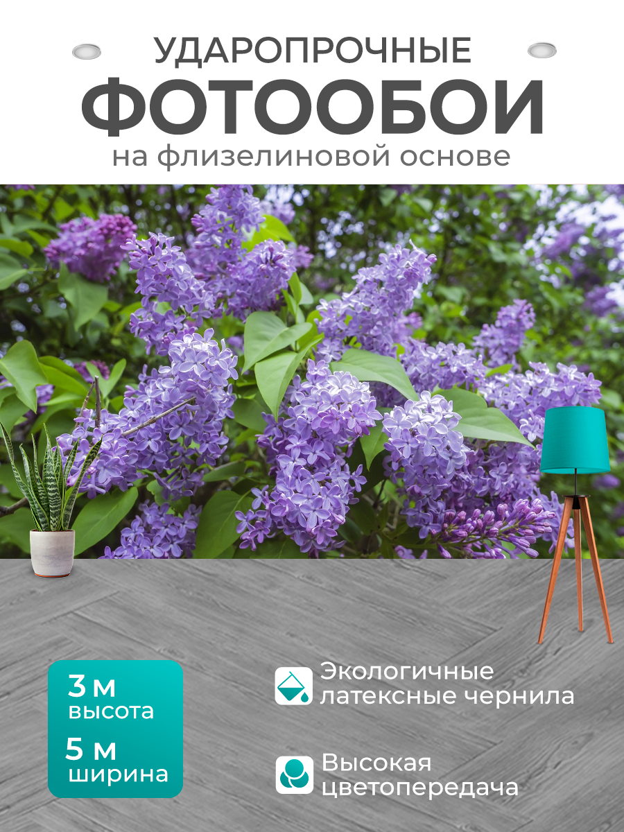 Фотообои моющиеся ударопрочные "Сирень, цветы, ветви" 500x300 см. флизелиновые на стену