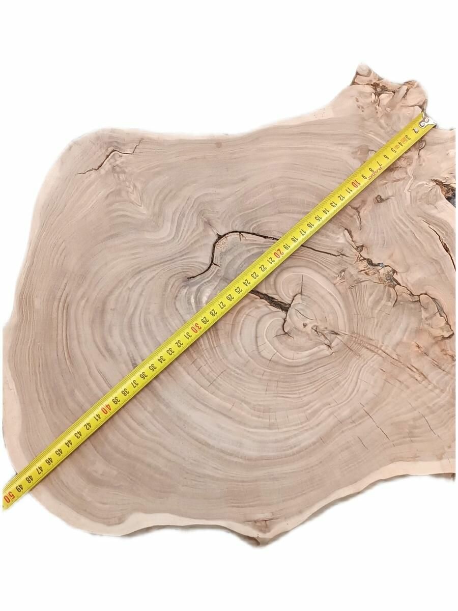 Спилы дерева Карагач. Для творчества и рукоделия.