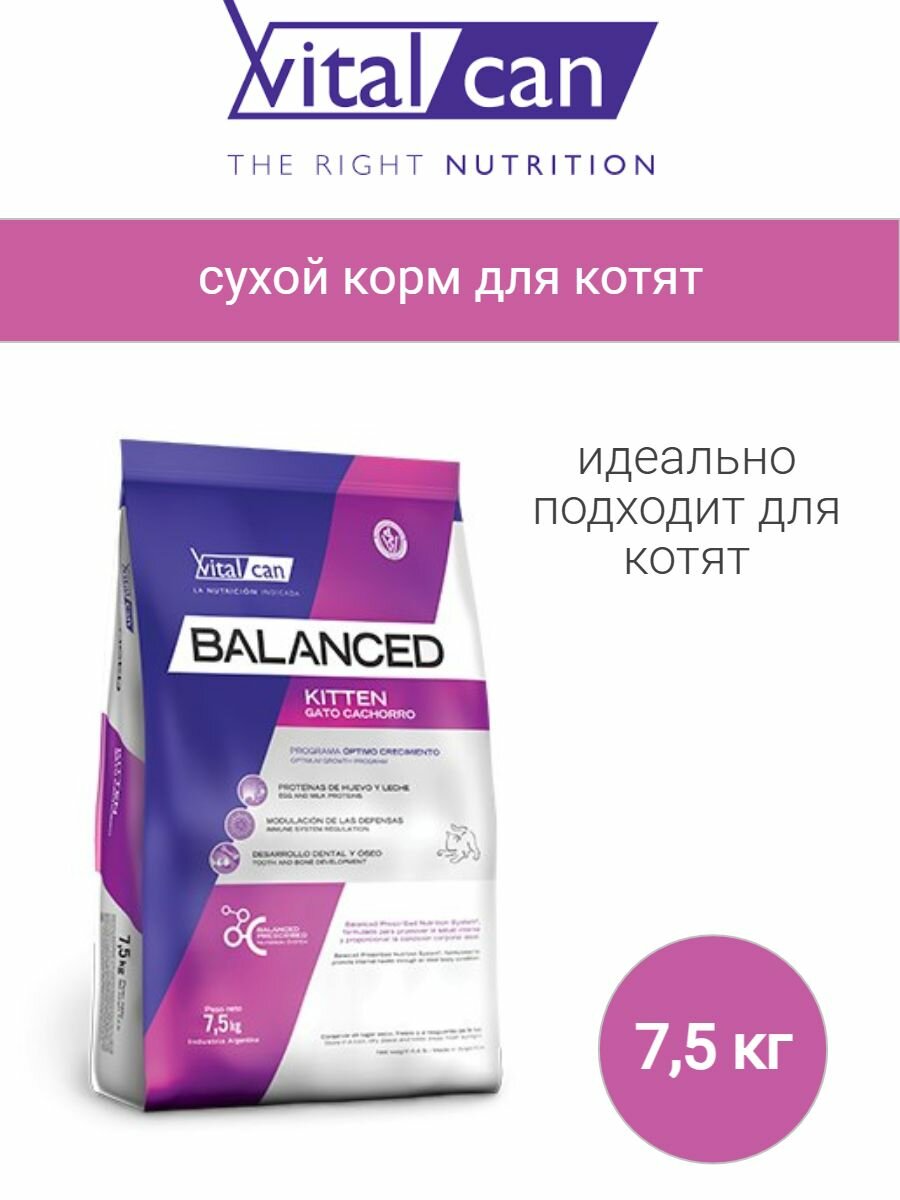 Виталкан Корм Balanced Cat Kitten для котят 7,5 кг
