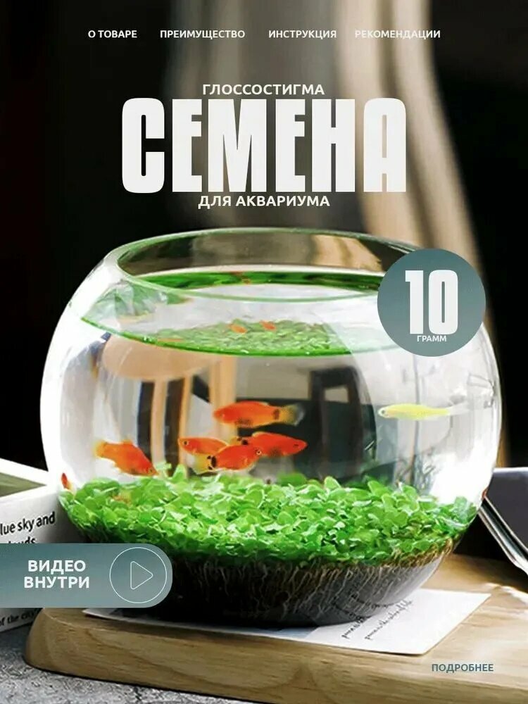 Семена растений для аквариума "Glossostigma", семена декоративных растений 10 г