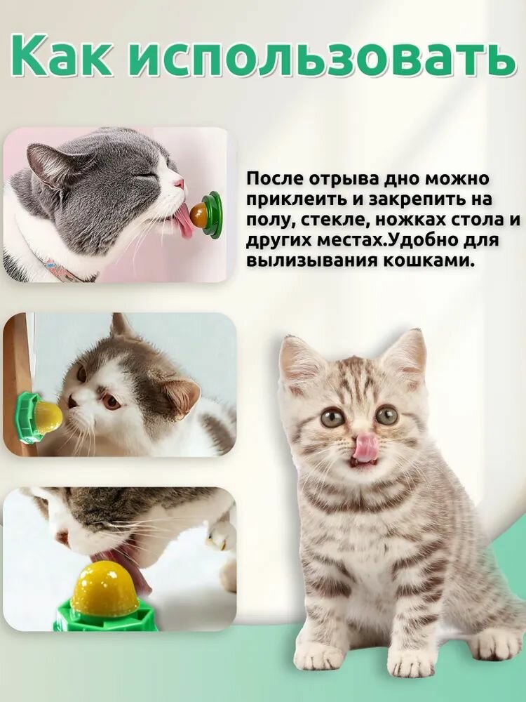 Игрушка для животных — фото 1