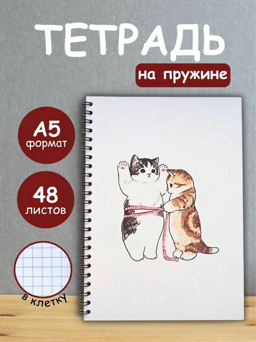 Тетрадь в клетку 48 листов на пружине , блокнот А5 Милые котики