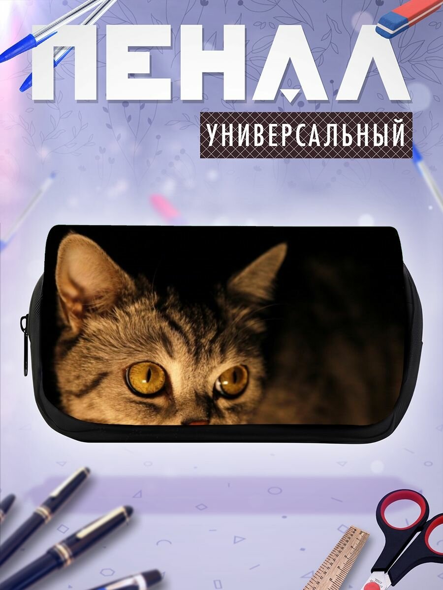 Школьный пенал котенок кот