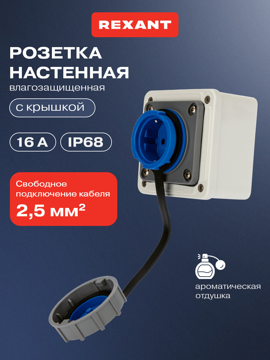 Розетка электрическая REXANT настенная влагозащищенная с крышкой 16 А, 2Р+РЕ, IP68