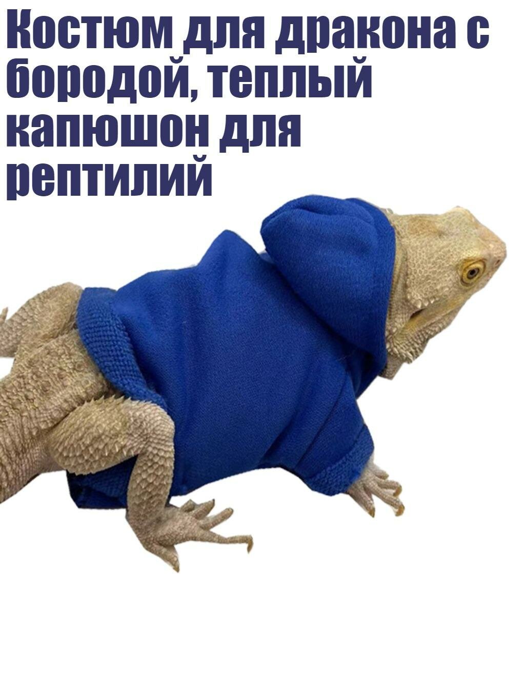 Костюм для дракона с бородой, теплый капюшон для рептилий, темно-синий