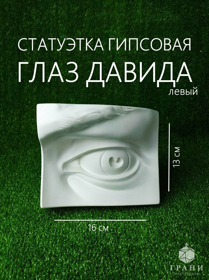 Гипсовая статуэтка "Глаз Давида левый", 13х18, учебное пособие для художников