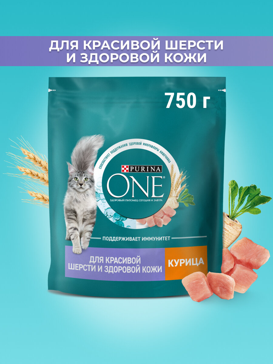 Сухой корм PURINA ONE® для взрослых кошек для красивой шерсти и здоровой кожи с курицей, 750 г