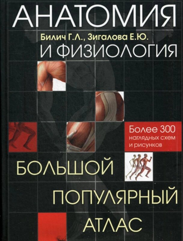 Анатомия и физиология. Большой популярный атлас (Билич Г. Л, Зигалова Е. Ю.)