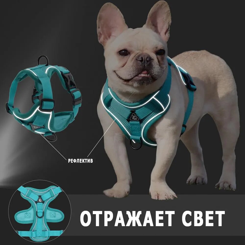 Шлейка — фото 1