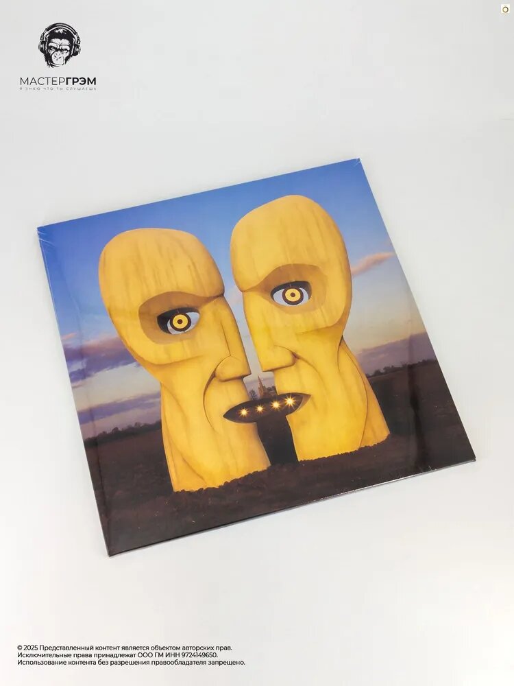 Pink Floyd The Division Bell Remastered (2025) Виниловая пластинка, Европейский Союз, 2LP — фото 1