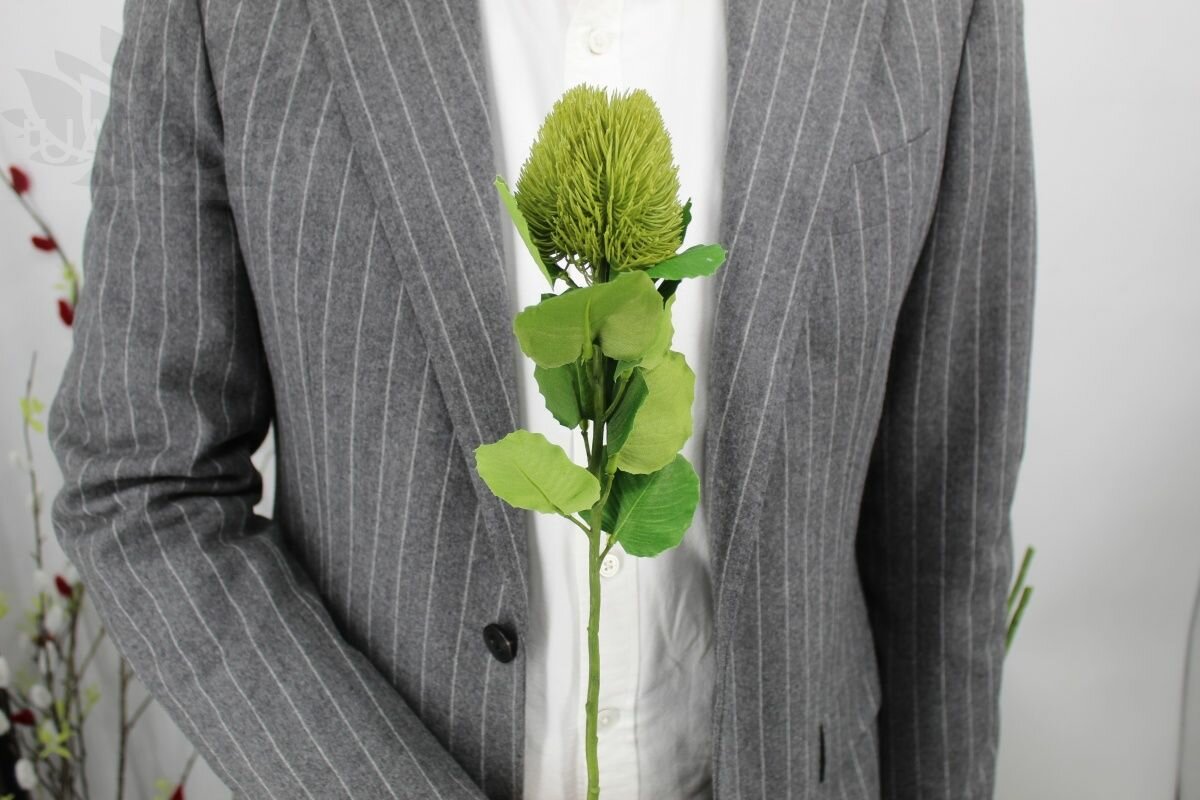 Искусственные цветы премиум для декора и интерьера Банксия зеленая 55 см 2 ветки