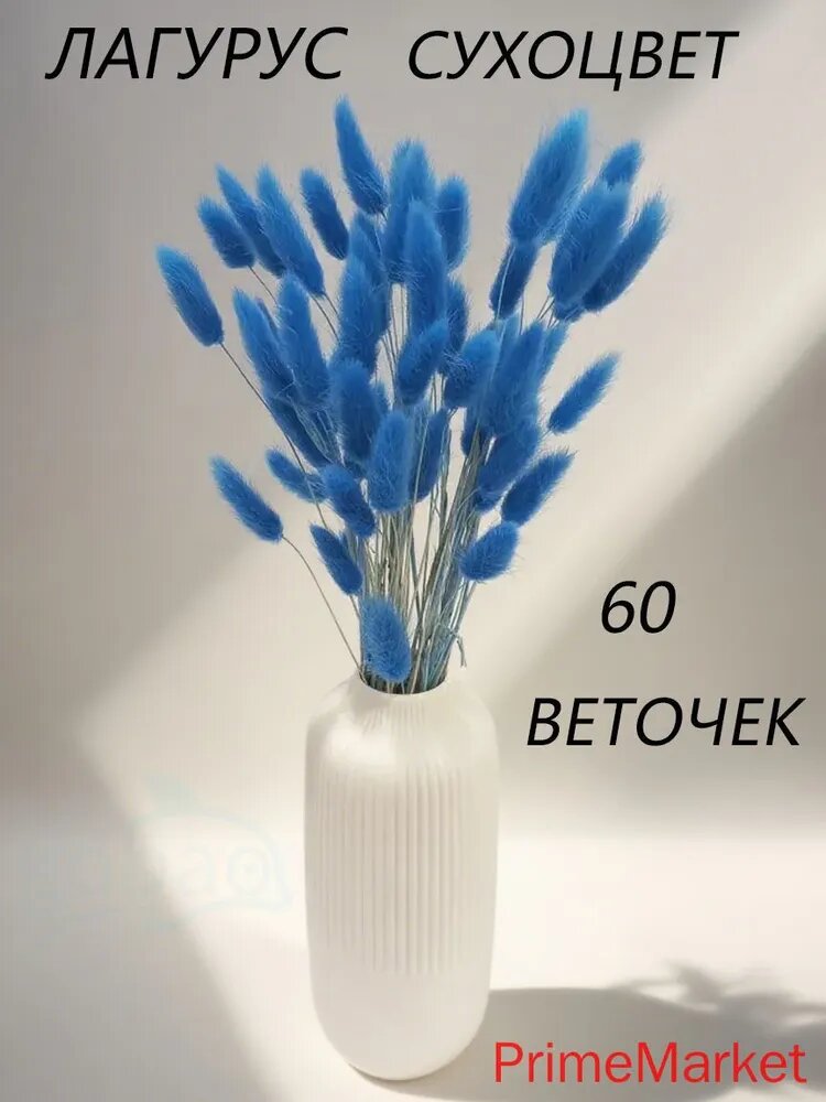 Сухоцветы Лагурус, 55 см, 100 гр, 60 шт