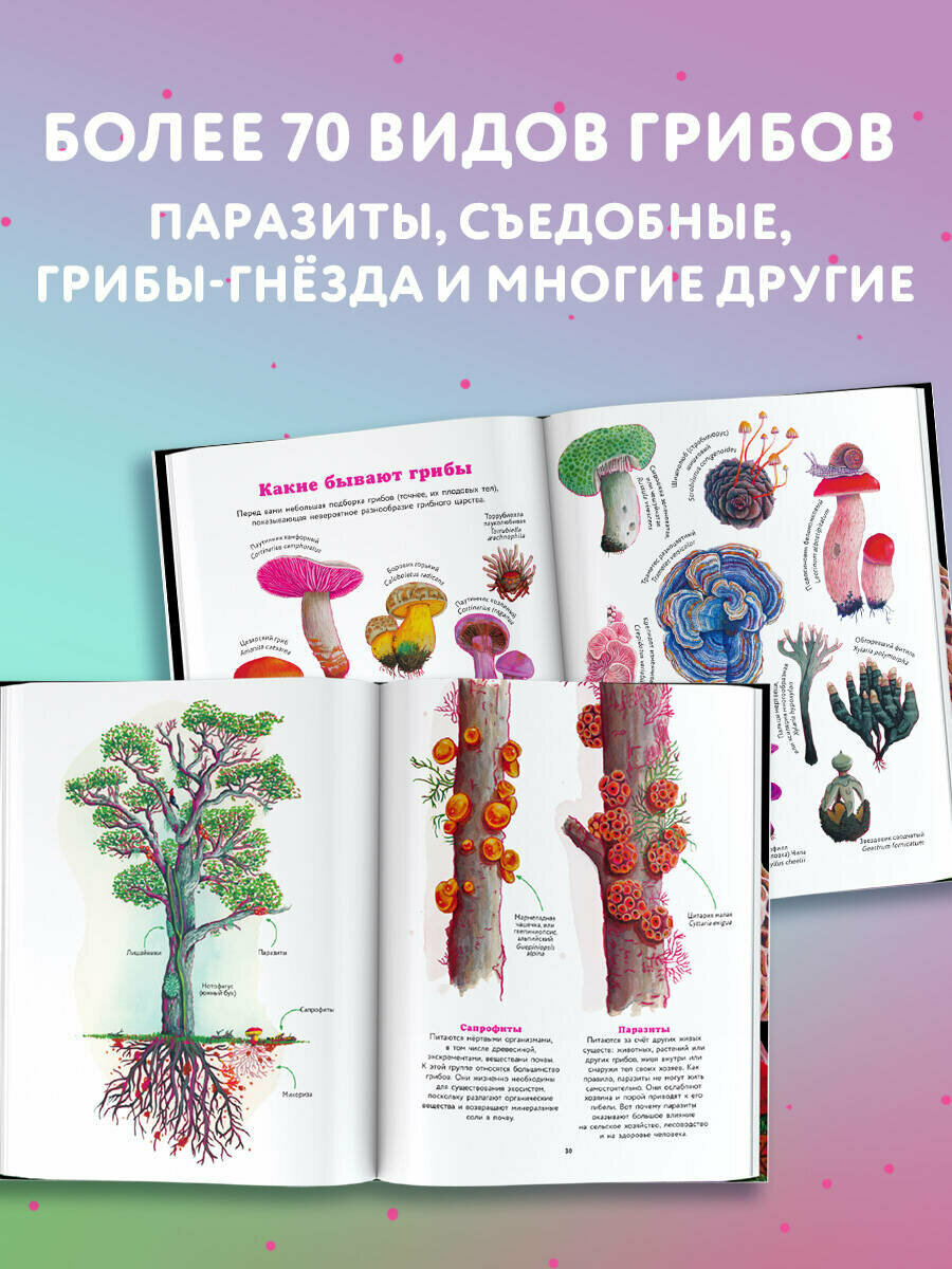Царство грибов — фото 1