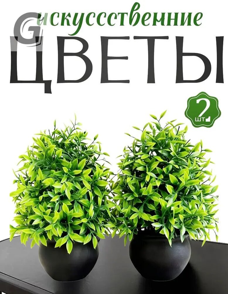 Искусственные цветы Суккулент 2 шт черный, темно-зеленый. Мирт в черном кашпо.