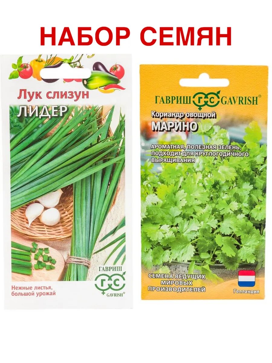 Набор семян Гавриш две упаковки: Лук Лидер 0.5г и кориандр Марино 1г