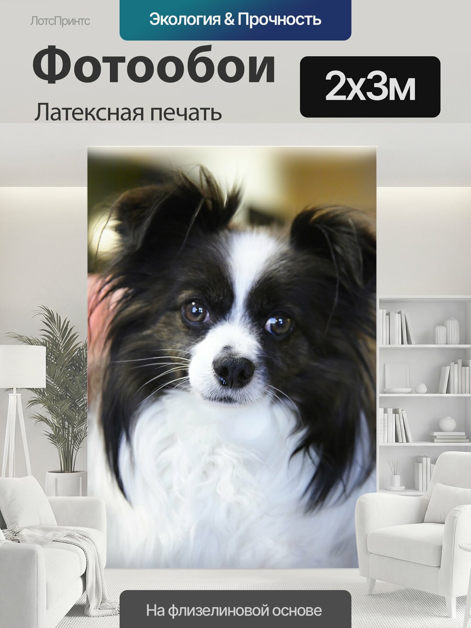 Фотообои моющиеся ударопрочные "Собака, папильон, домашний питомец" 200x300 см. латексная печать