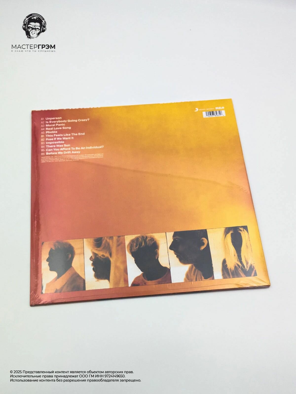 Виниловая пластинка Nothing But Thieves - Moral Panic (LP) 2020
