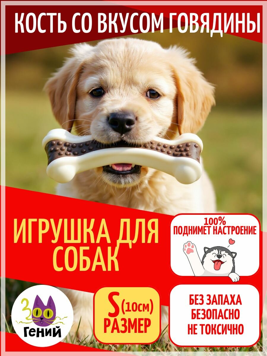 Кость грызак для собак со вкусом говядины, размер S (10см)/ Игрушка для собак - Гигиена зубов и профилактика налета
