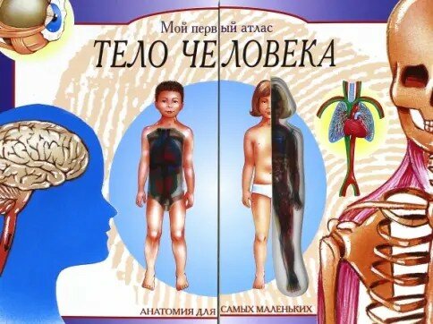 Тело человека. Мой первый атлас, 2023, Брук Джон Х. Р. Лабиринт