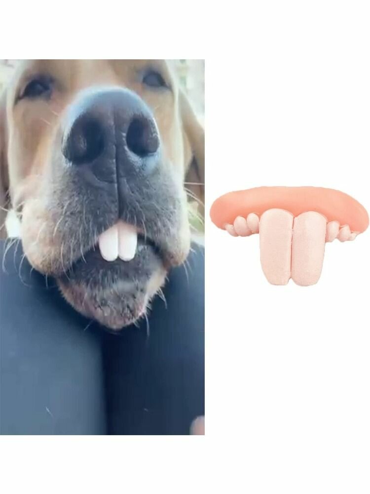 4шт Белых искусственных зубов, Игрушки для собак, Забавные брекеты для зубов собак, Товары для домашних животных