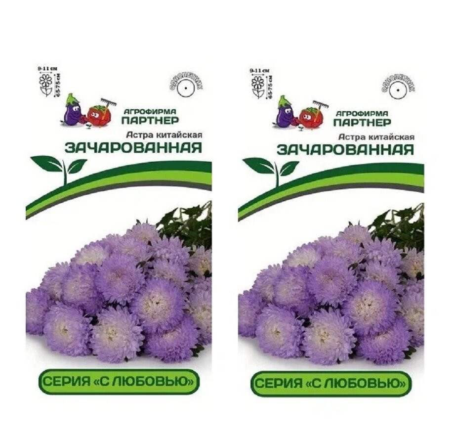 Астра китайская зачарованная ( Агрофирма Партнер) 2 упаковки