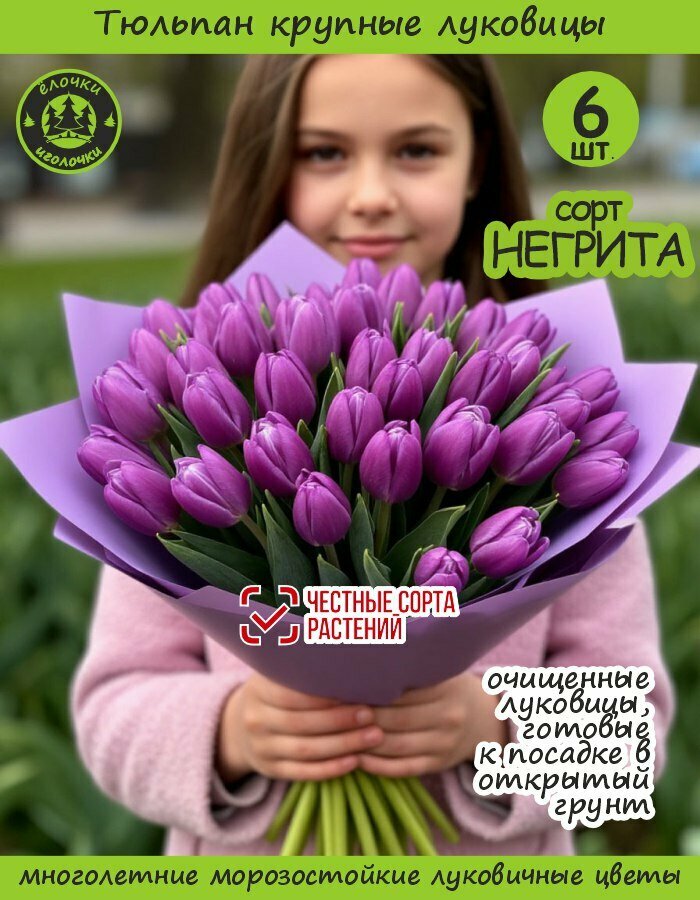 Тюльпан луковичные цветы, Негрита 6 шт, разбор 12+