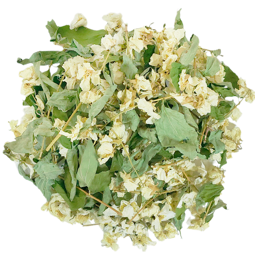 Жасмин, цветы и листья 15г.