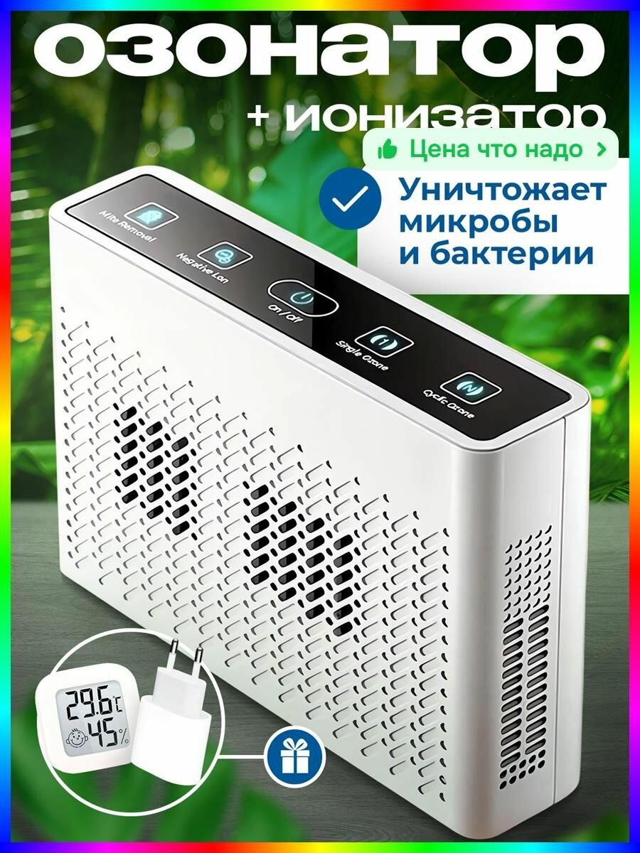 Озонатор: очистка воздуха и борьба с запахами-Ионизатор, Очиститель