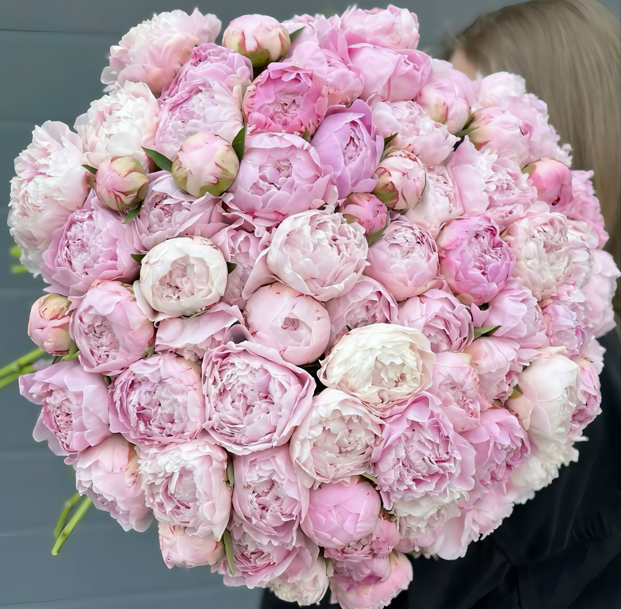 Букет из розовых пионов 35 шт, красивый букет цветов, шикарный, премиум цветы, премиум букет